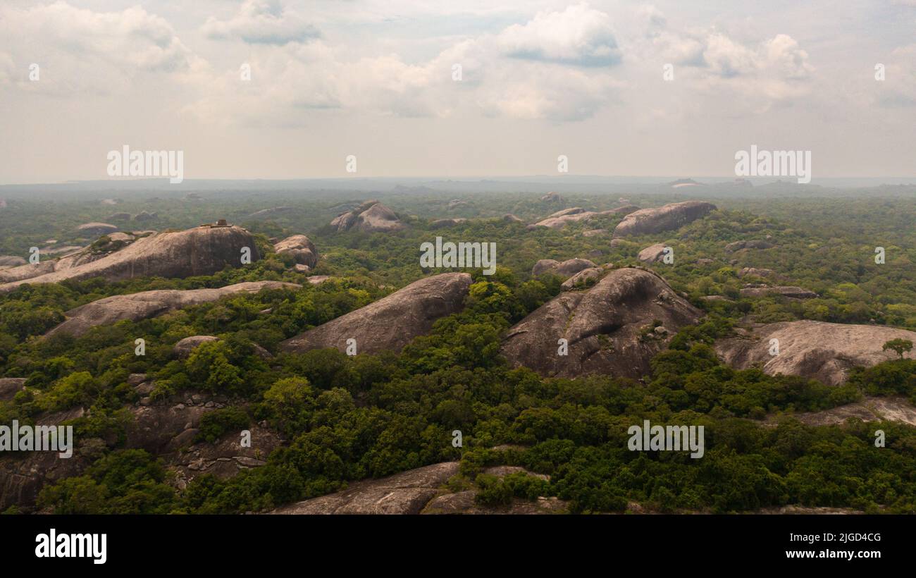 Aerial drone of green forest with tropical vegetation and rock ...