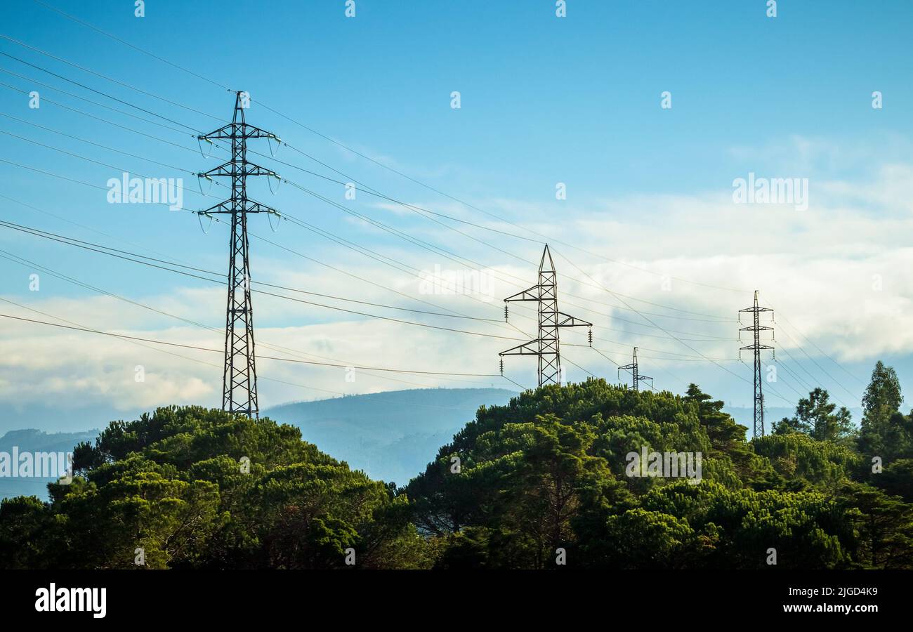 Power lines and poles over trees with blue sky and clouds in the ...