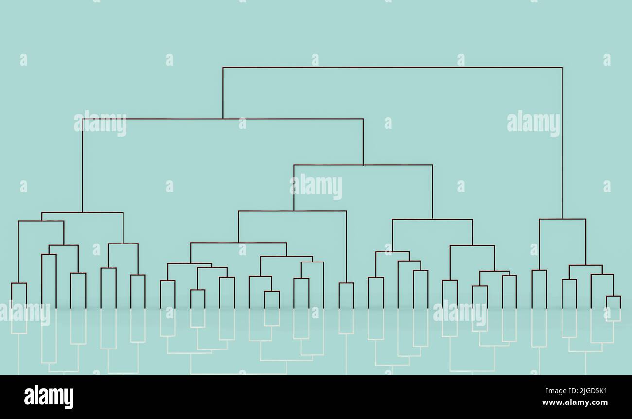 Phylogenetic tree illustration hi-res stock photography and images - Alamy