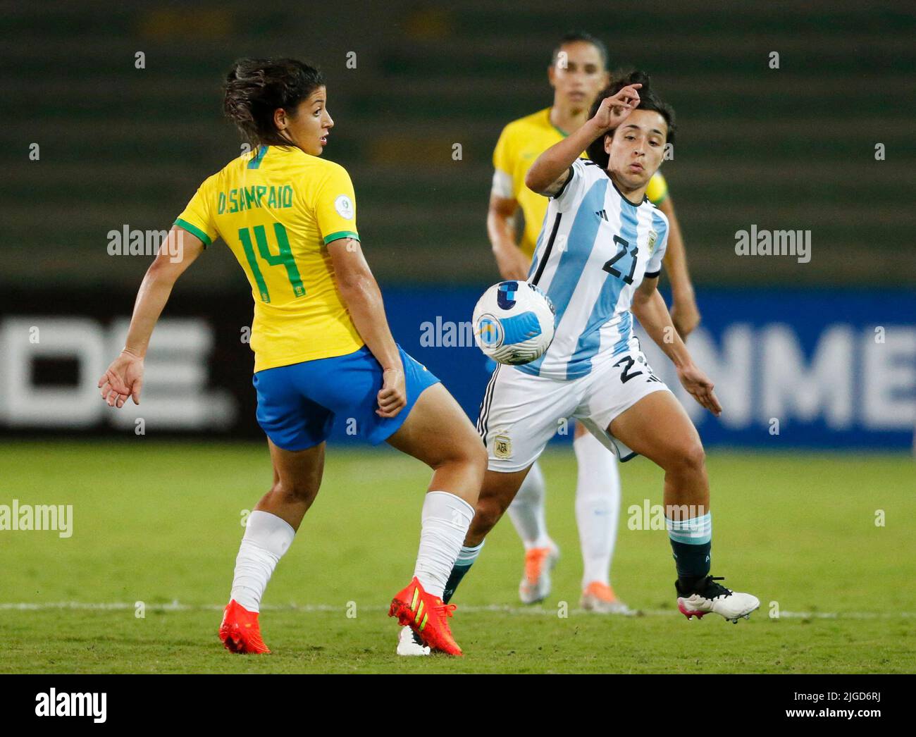 Erica lonigro hi-res stock photography and images - Alamy