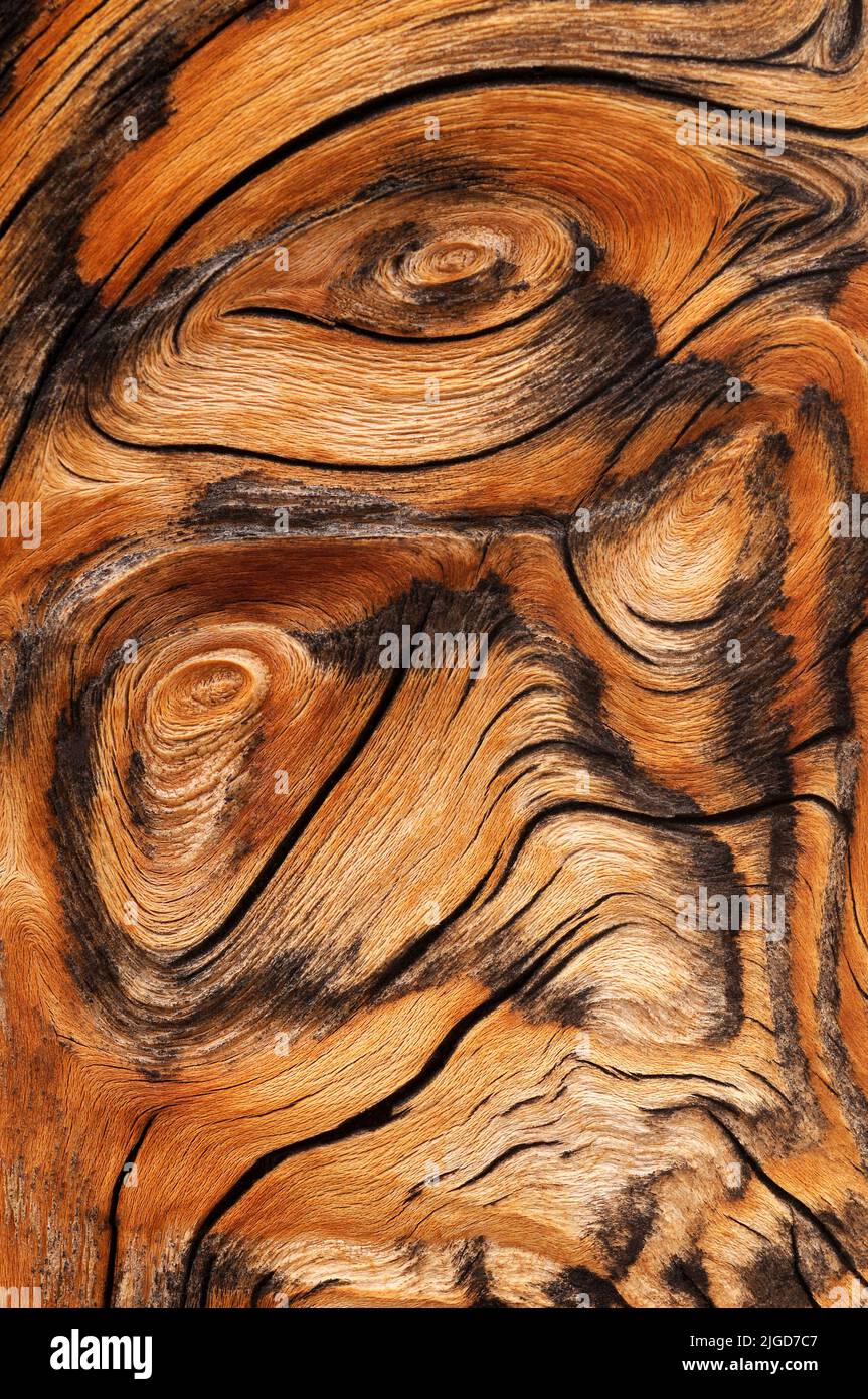 Wood grain patterns hi-res stock photography and images - Alamy