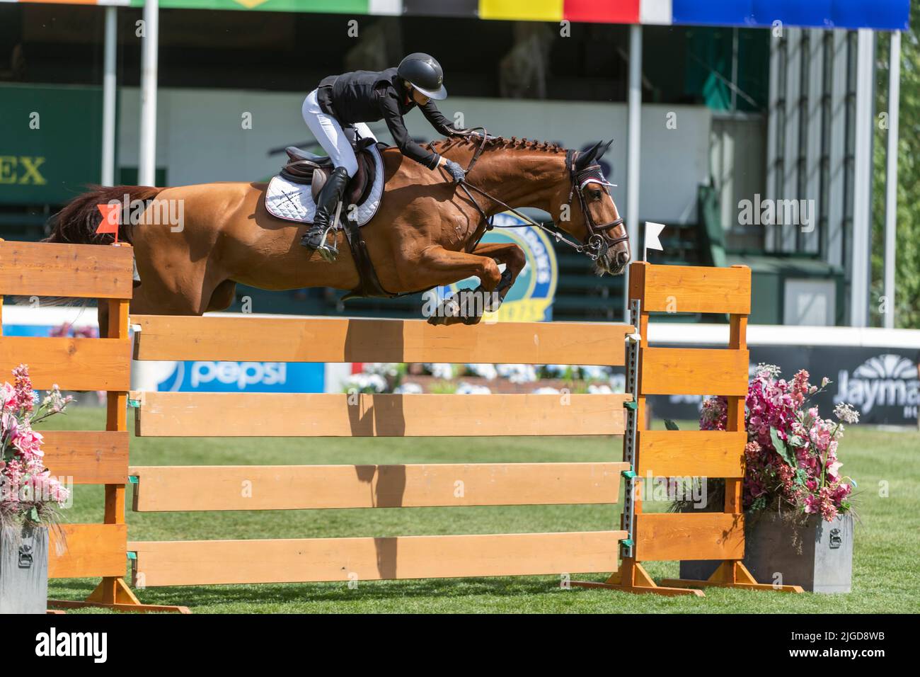 Peter rinaldi hi-res stock photography and images - Alamy