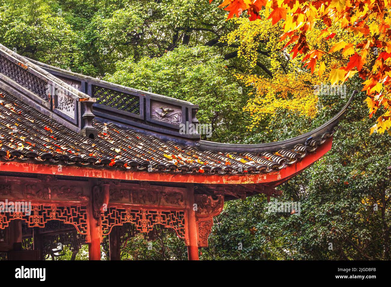 Ancient Chinese House Roof Autumn Leaves West Lake Hangzhou Zhejiang ...