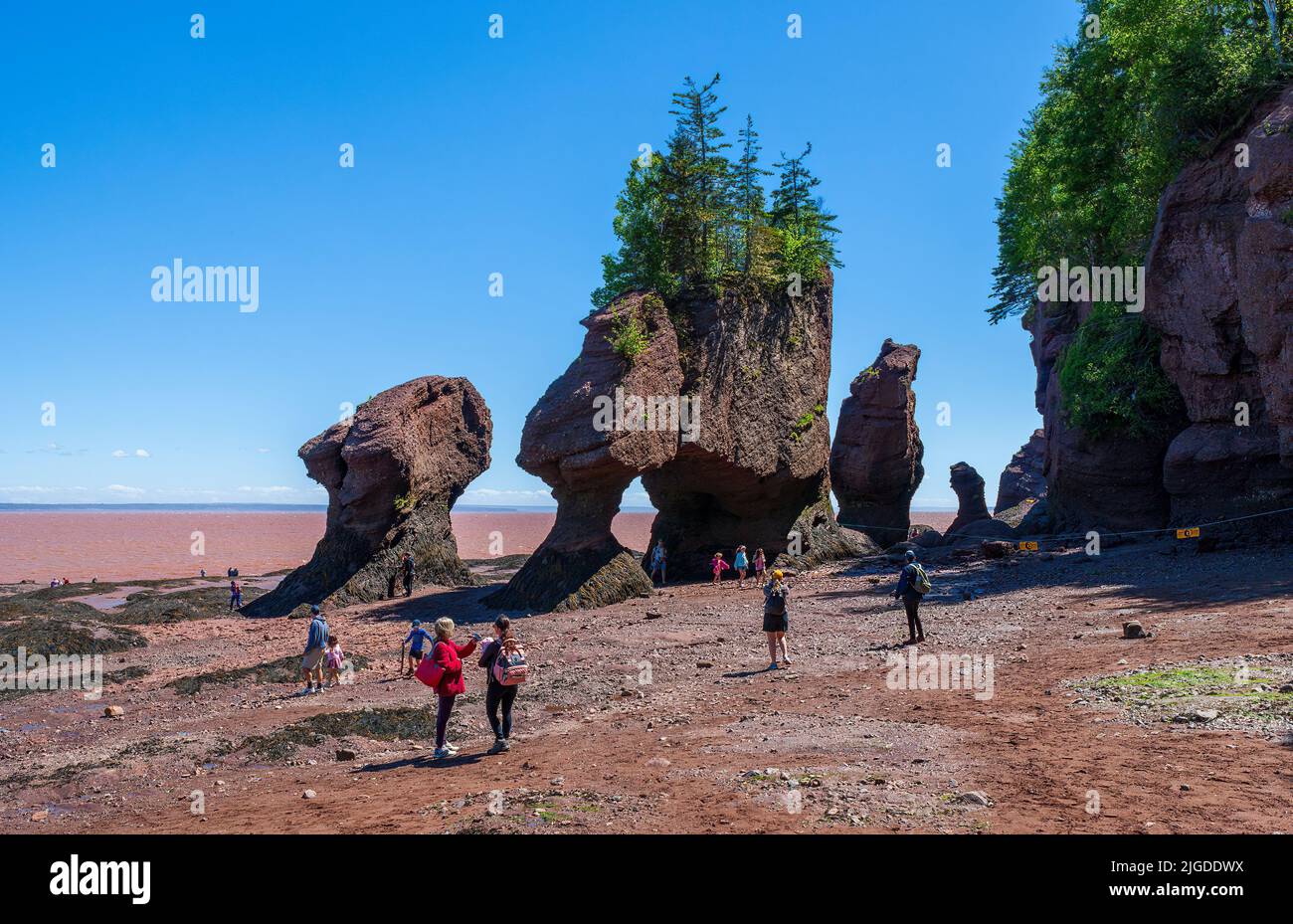 Tourists exploring the Hopewell Rocks at low tide. Hopewell Rocks ...