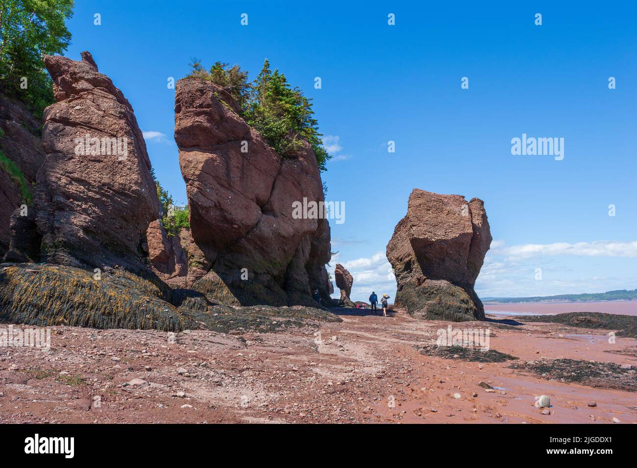 Tourists exploring the Hopewell Rocks at low tide. Hopewell Rocks ...