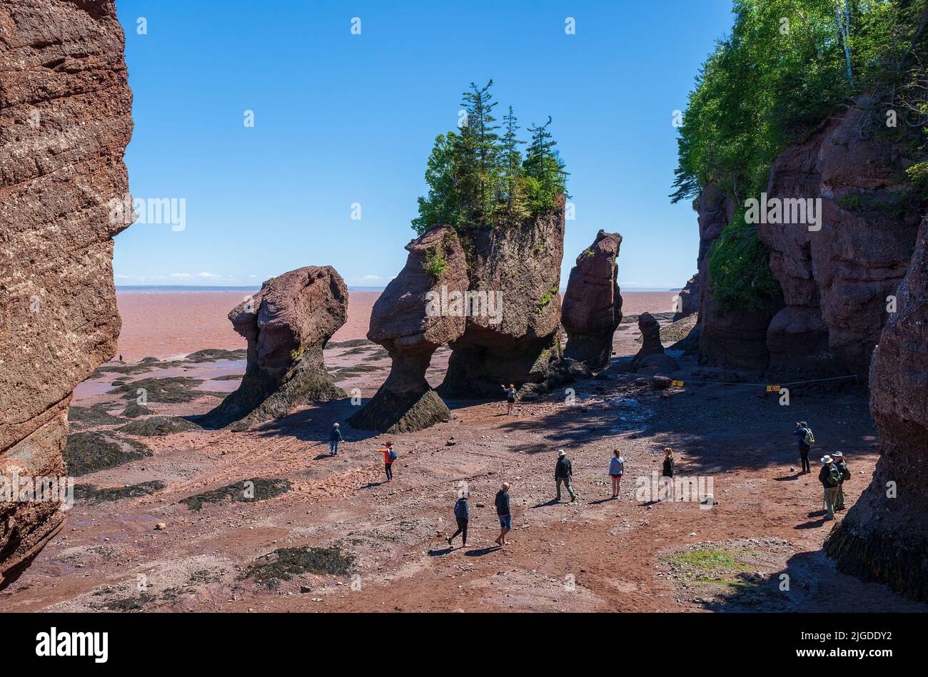 Tourists exploring the Hopewell Rocks at low tide. Hopewell Rocks ...