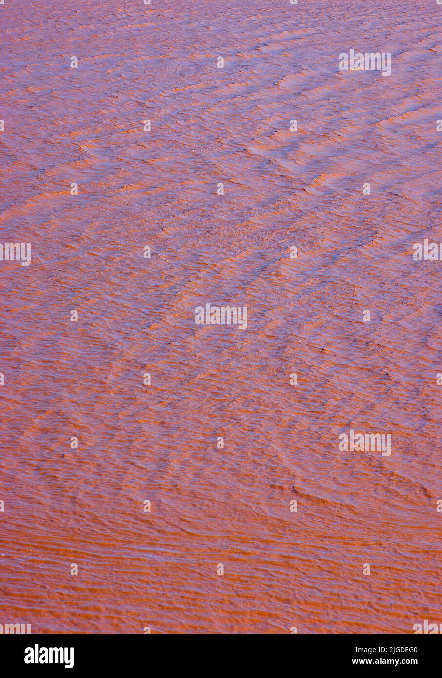The muddy waters of the Petitcodiac River. The river is informally ...