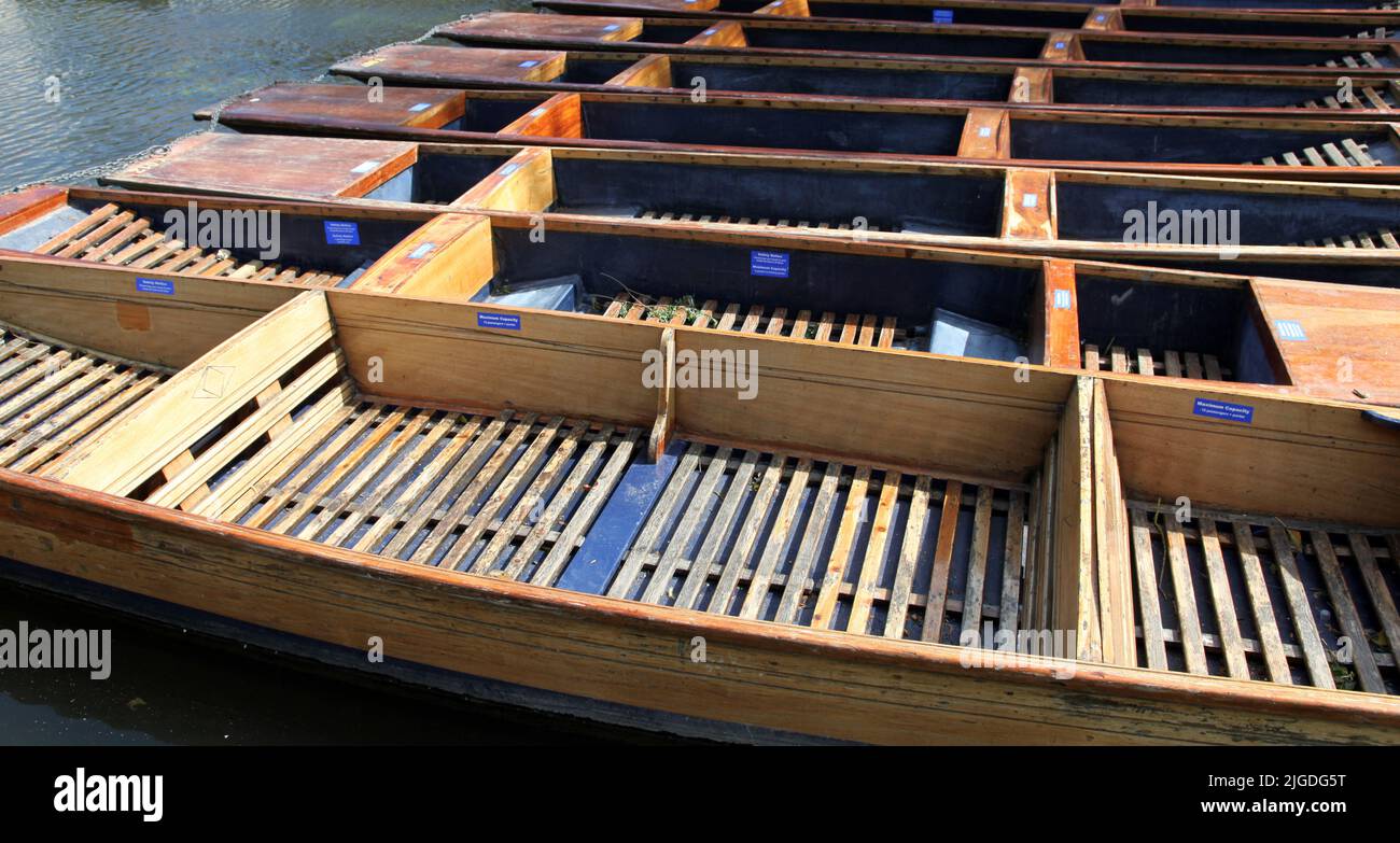 A group of wooden punts tied together on the river Cam in Cambridge ...