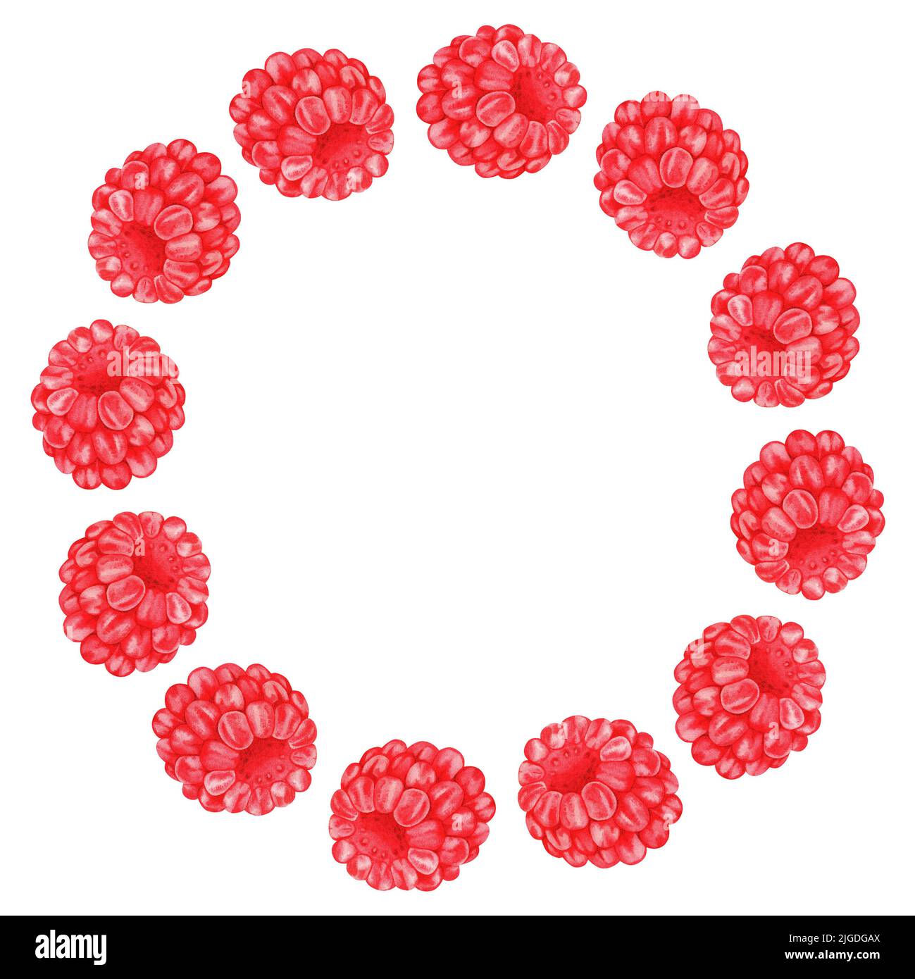 Raspberry wreath. Watercolor illustration. Isolated on a white ...