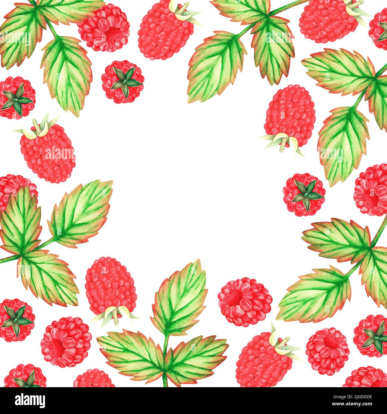 Square raspberry frame. Place for the inscription. Watercolor ...