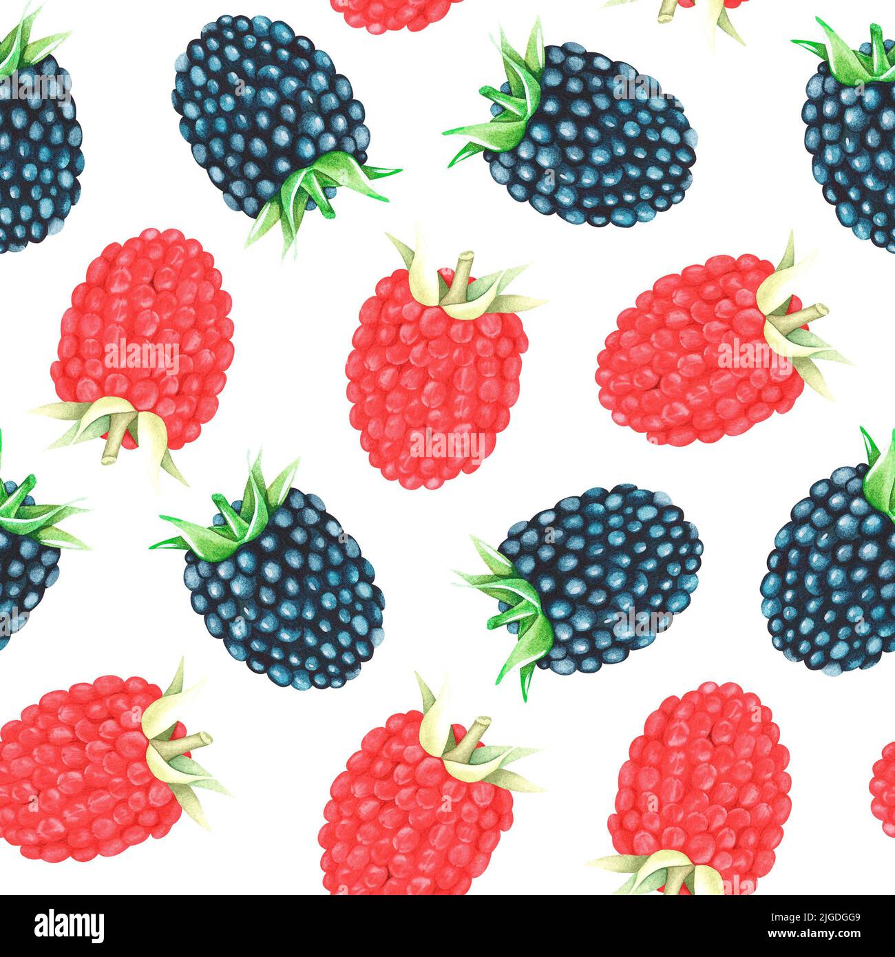 Raspberry and blackberry seamless pattern. Watercolor illustration ...