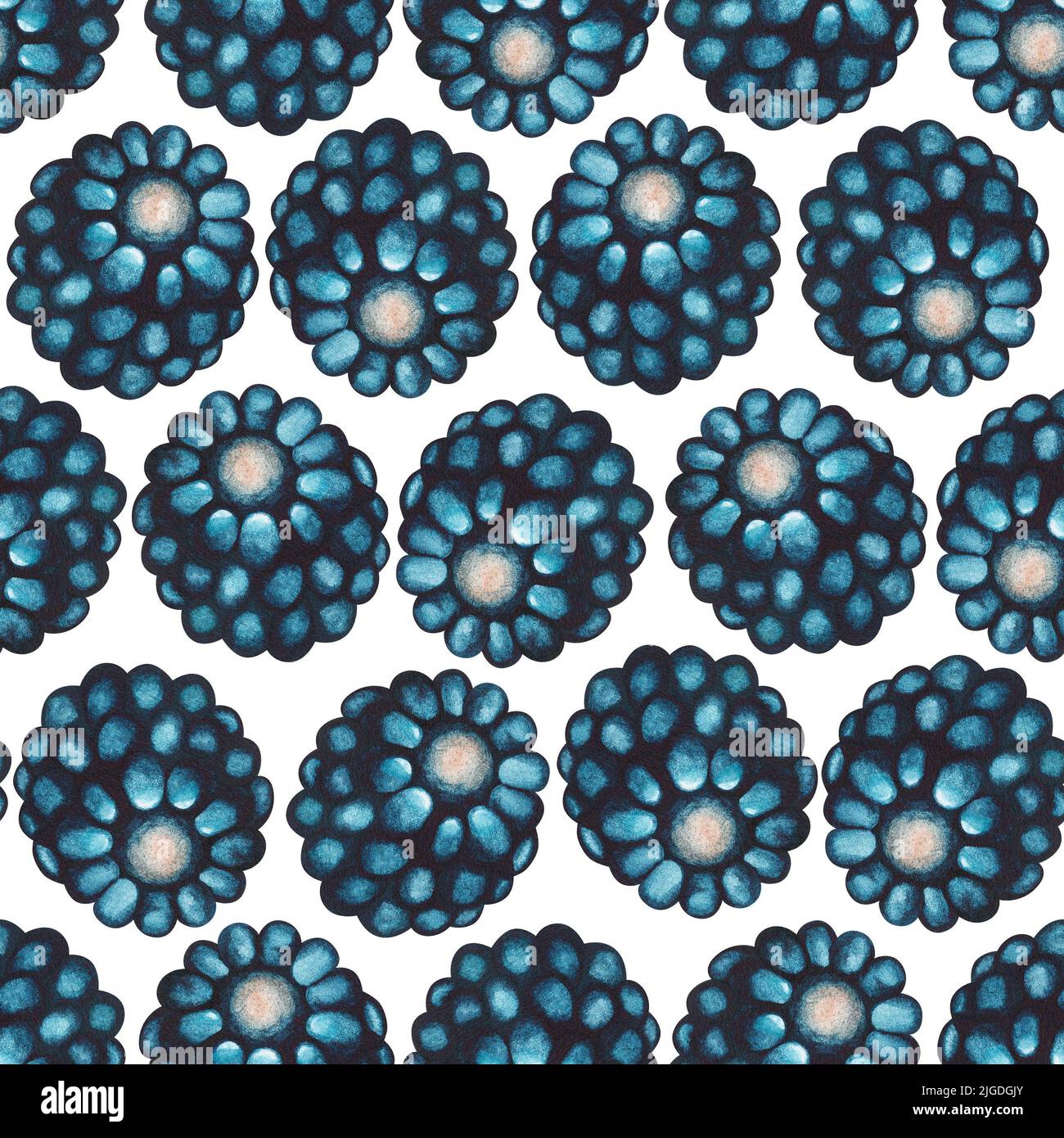 Blackberry seamless pattern. Watercolor illustration. Isolated on a ...
