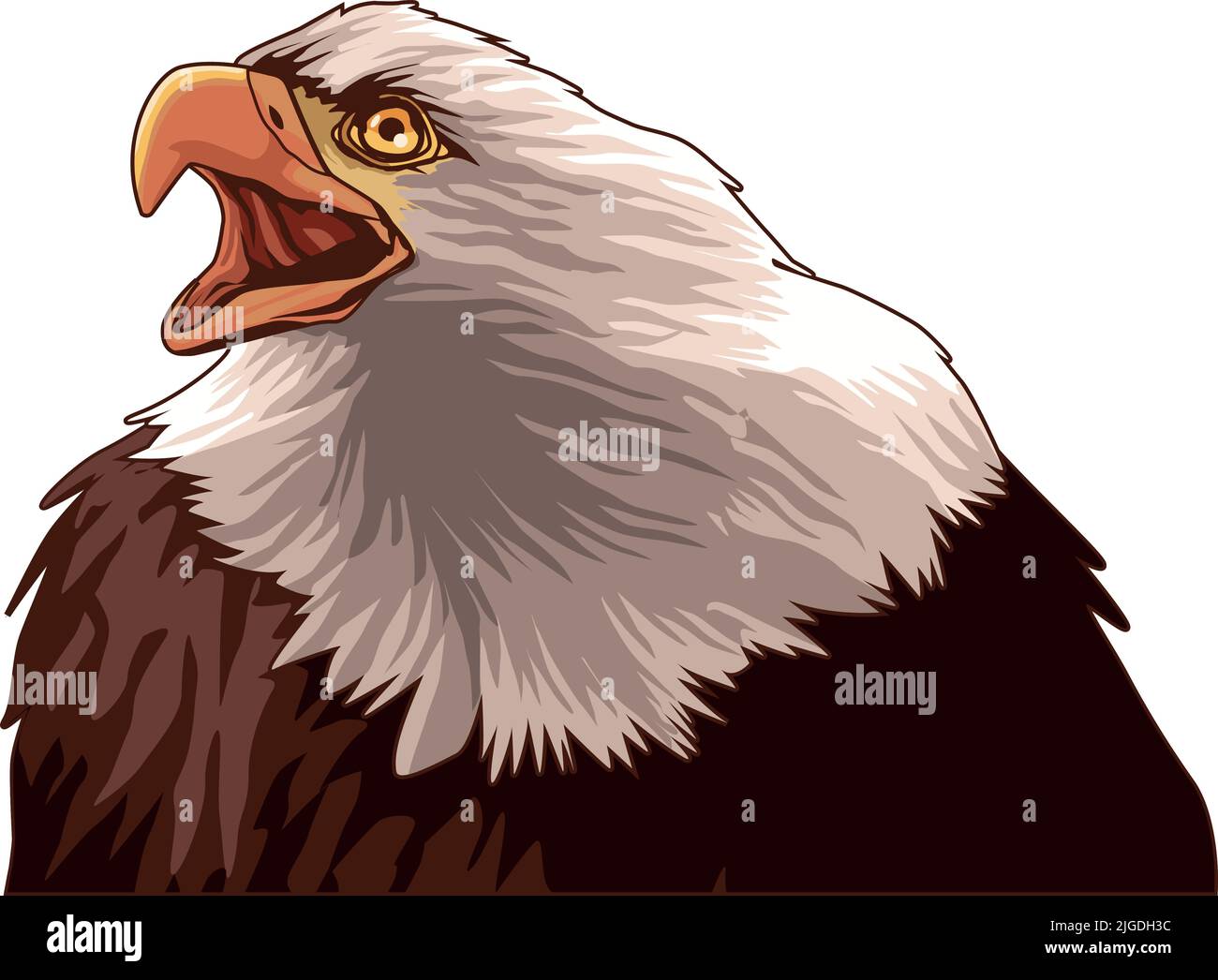eagle bald wild animal Stock Vector Image & Art - Alamy