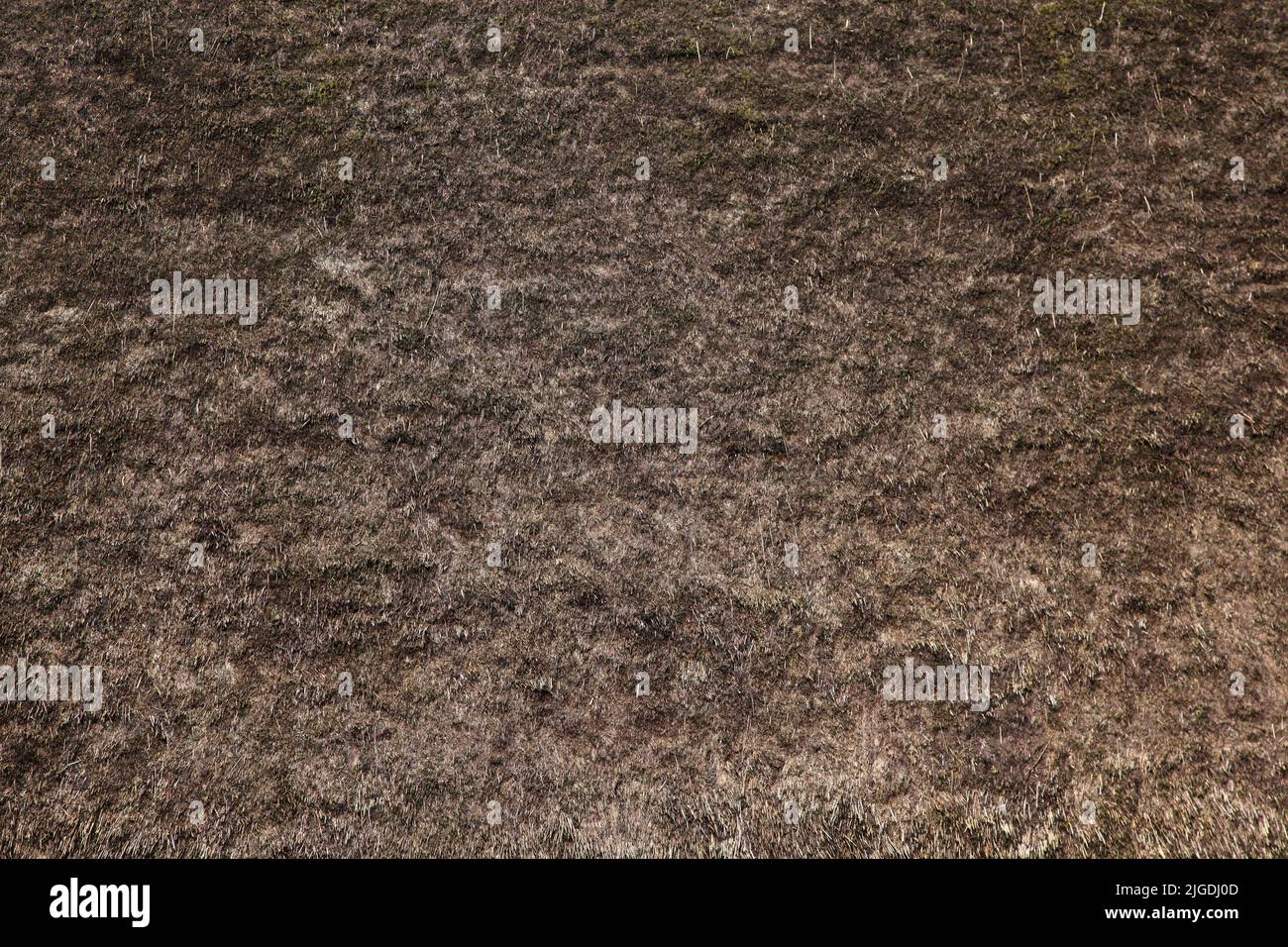 Thatched roof detail for background use Stock Photo - Alamy