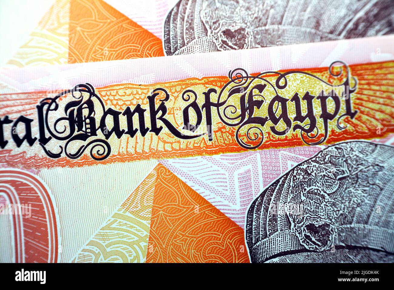 closeup of inscription central bank of Egypt from the reverse side of ...