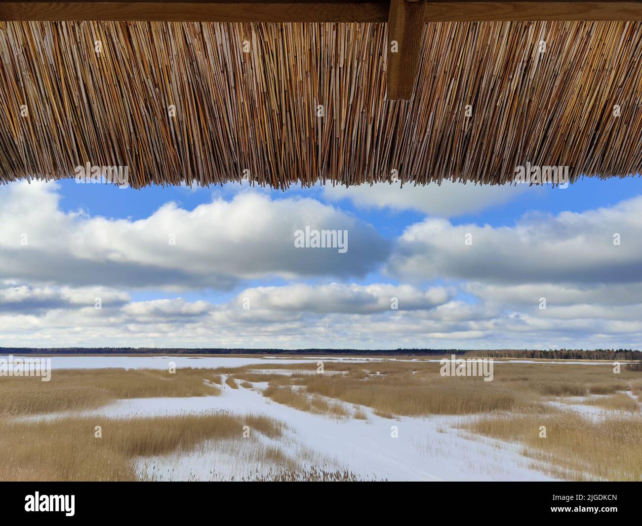 Frozen lake landscape. Marshland and dry reeds. Thatched roof part at ...