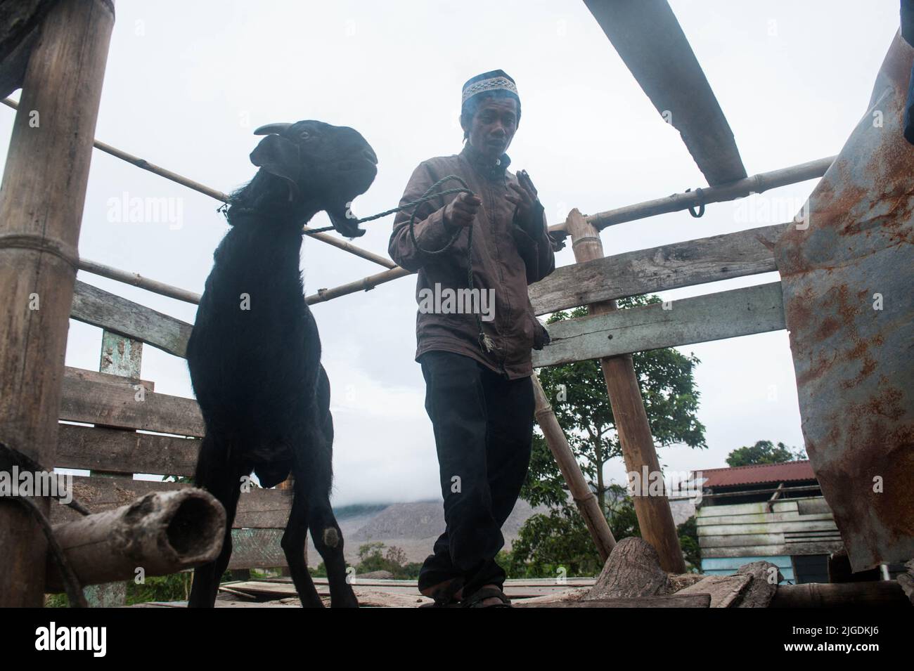Carrying goats hi-res stock photography and images - Alamy