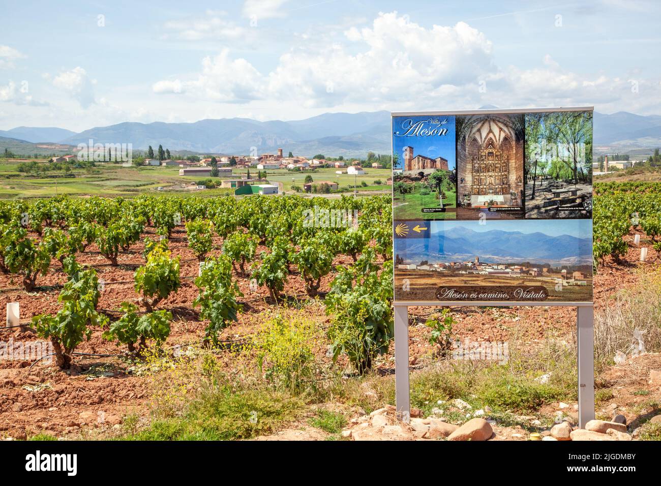 View through La Rioja vineyards from the Camino de Santiago, the way of ...