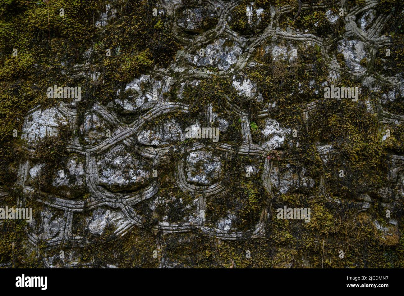 An old stone wall covered with moss and withered grass. The texture of ...