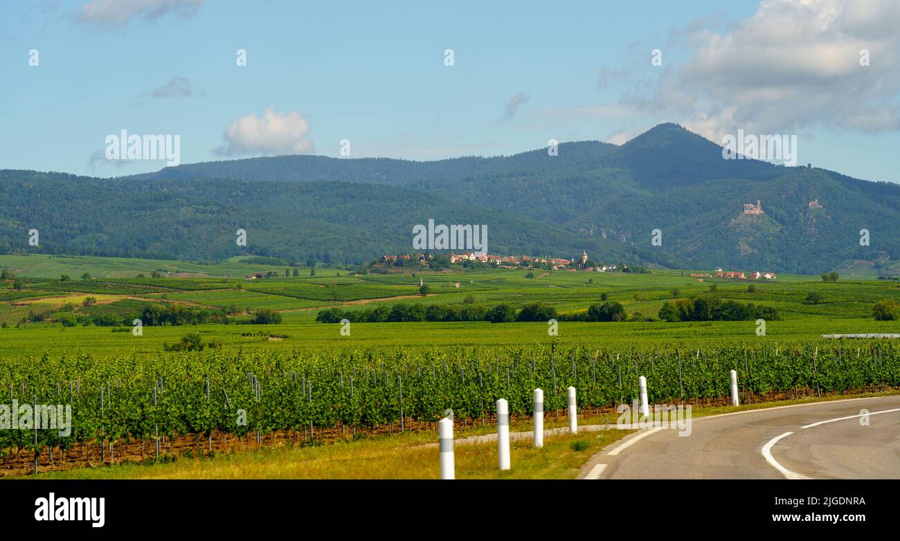Alsace landscape, France Stock Photo - Alamy