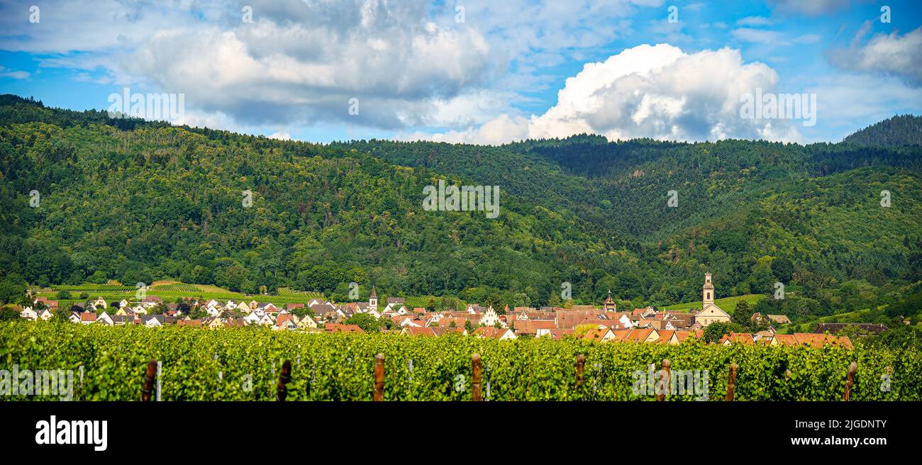 Alsace landscape, France Stock Photo - Alamy