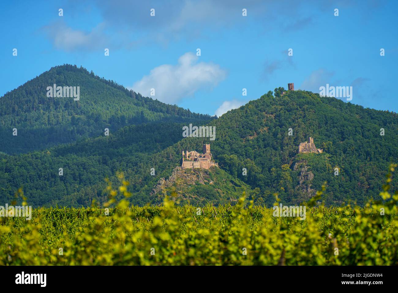 Alsace landscape, France Stock Photo - Alamy