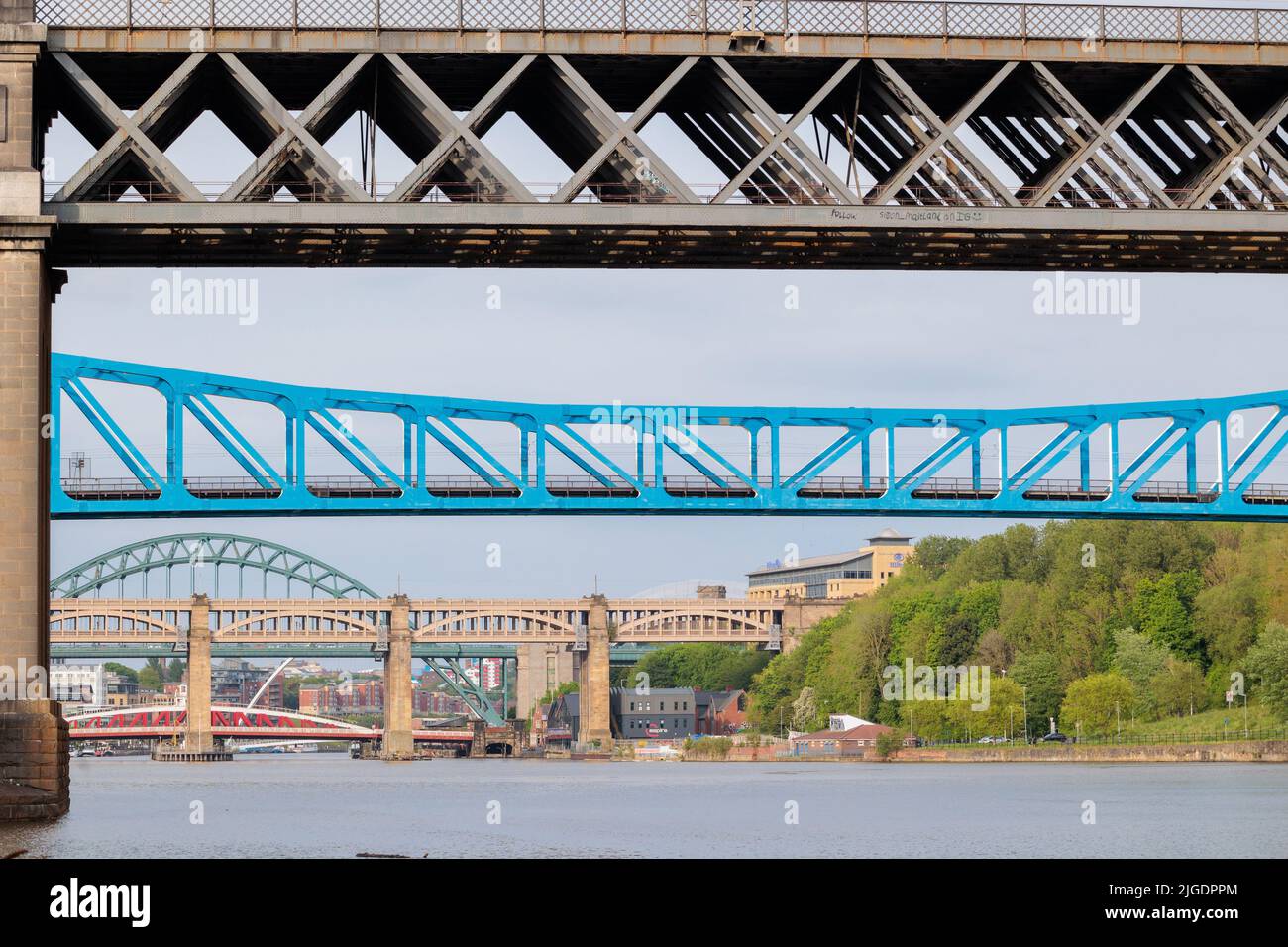 Tightly cropped image hi-res stock photography and images - Alamy