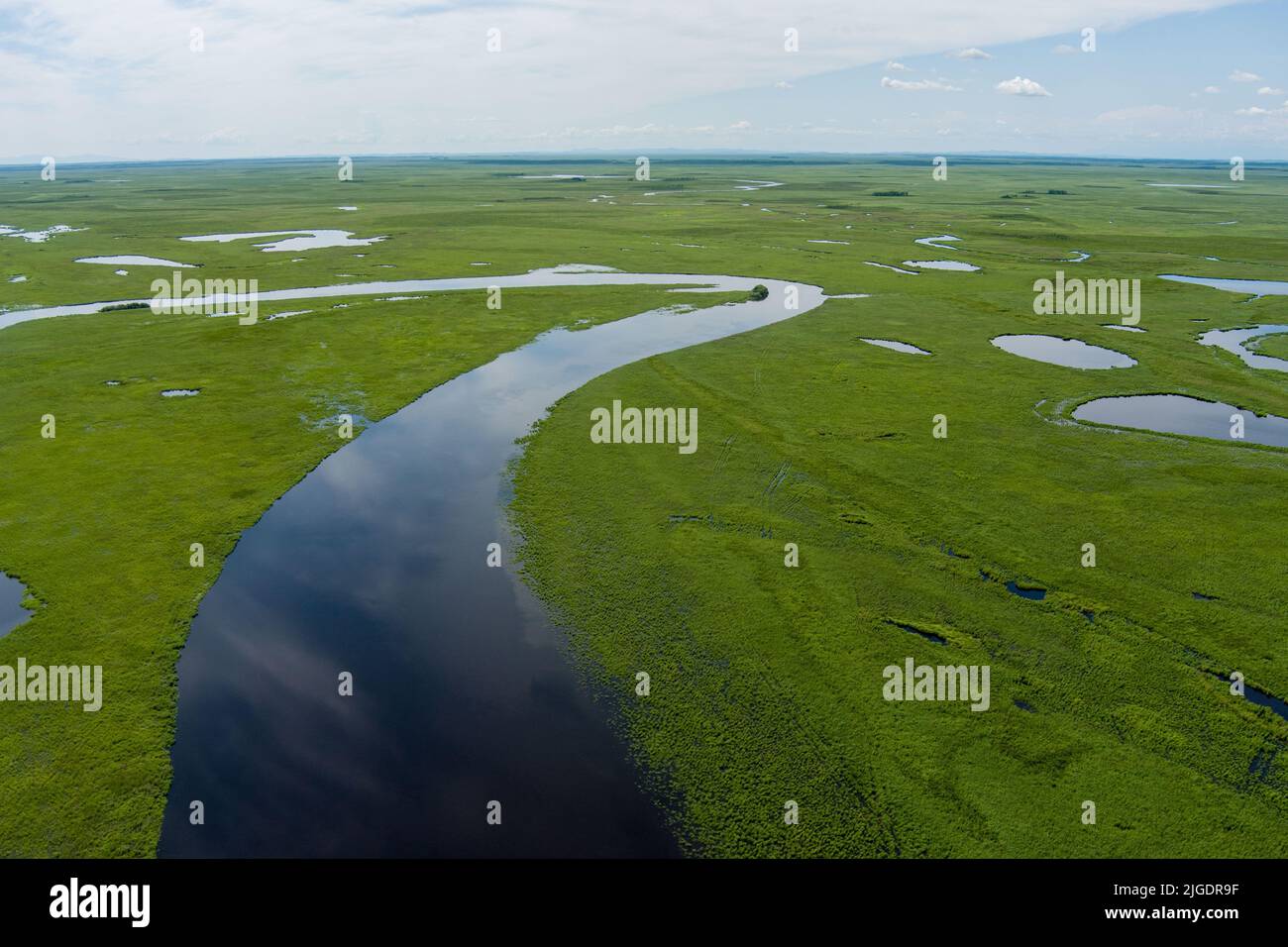 river top view shooting from a drone . river on a green background ...