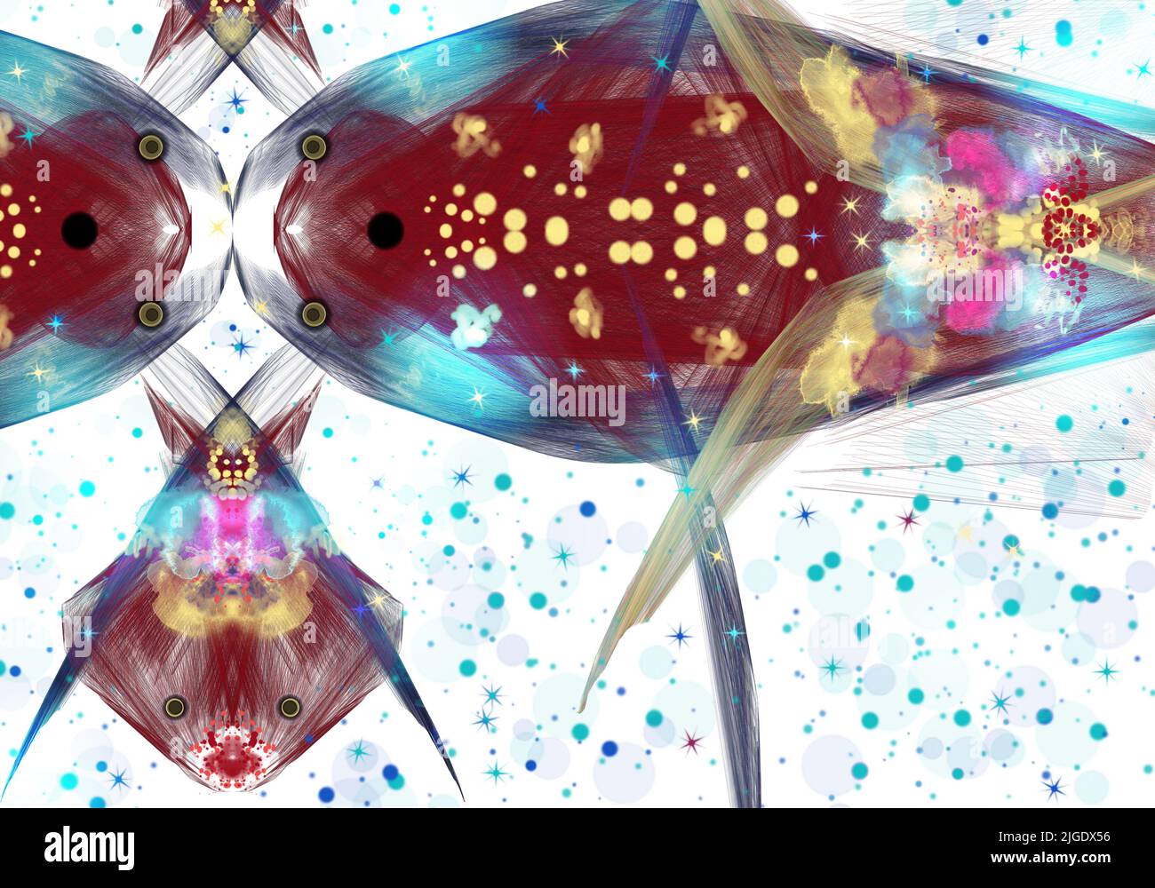 Multicolor two and a half fish on the turquoise spotted or white ...