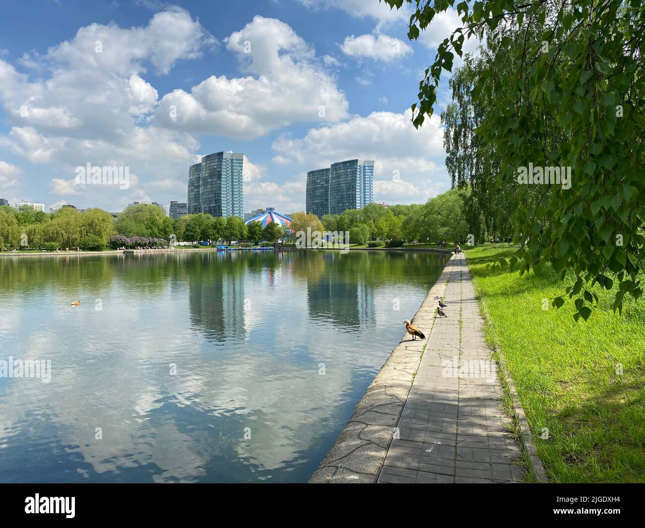 summer in city park at dry sunny day Stock Photo - Alamy