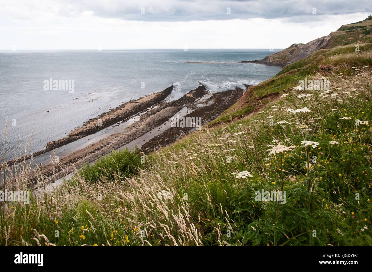 Around the UK - Cleveland Way, North Yorkshire, UK Stock Photo - Alamy