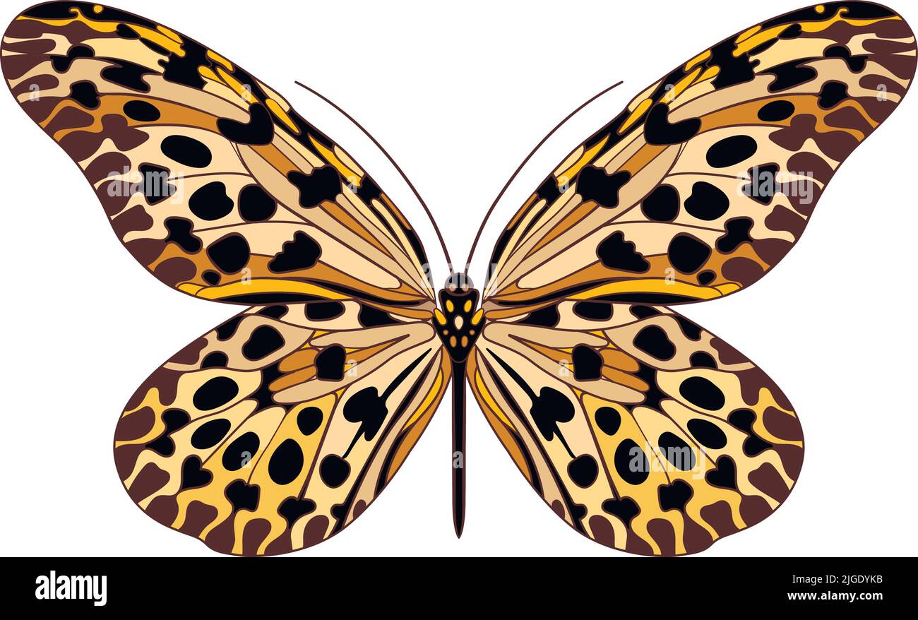 Natural yellow butterfly isolated on white background. Vector ...