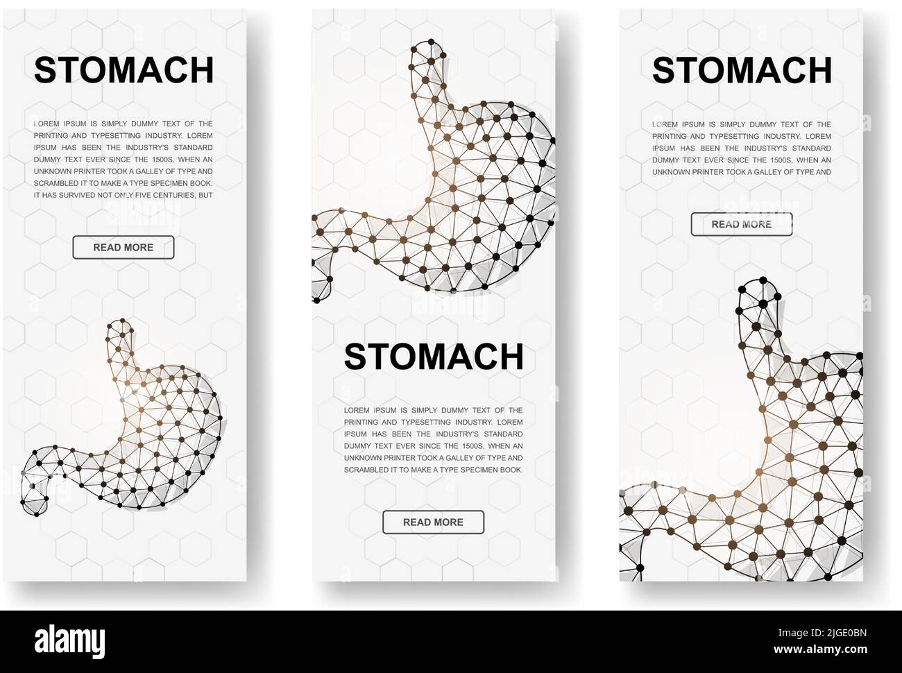 Set of three Stomach polygonal vertical banners. 3d Organ anatomy low ...