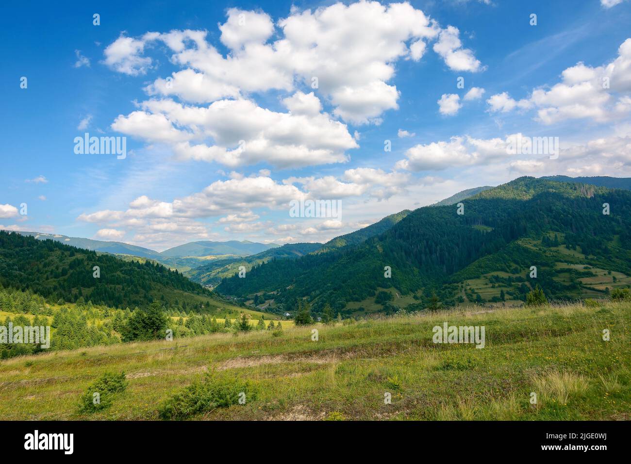 beauty of carpathian mountain landscape in summer. wonderful green countryside scenery on a ...
