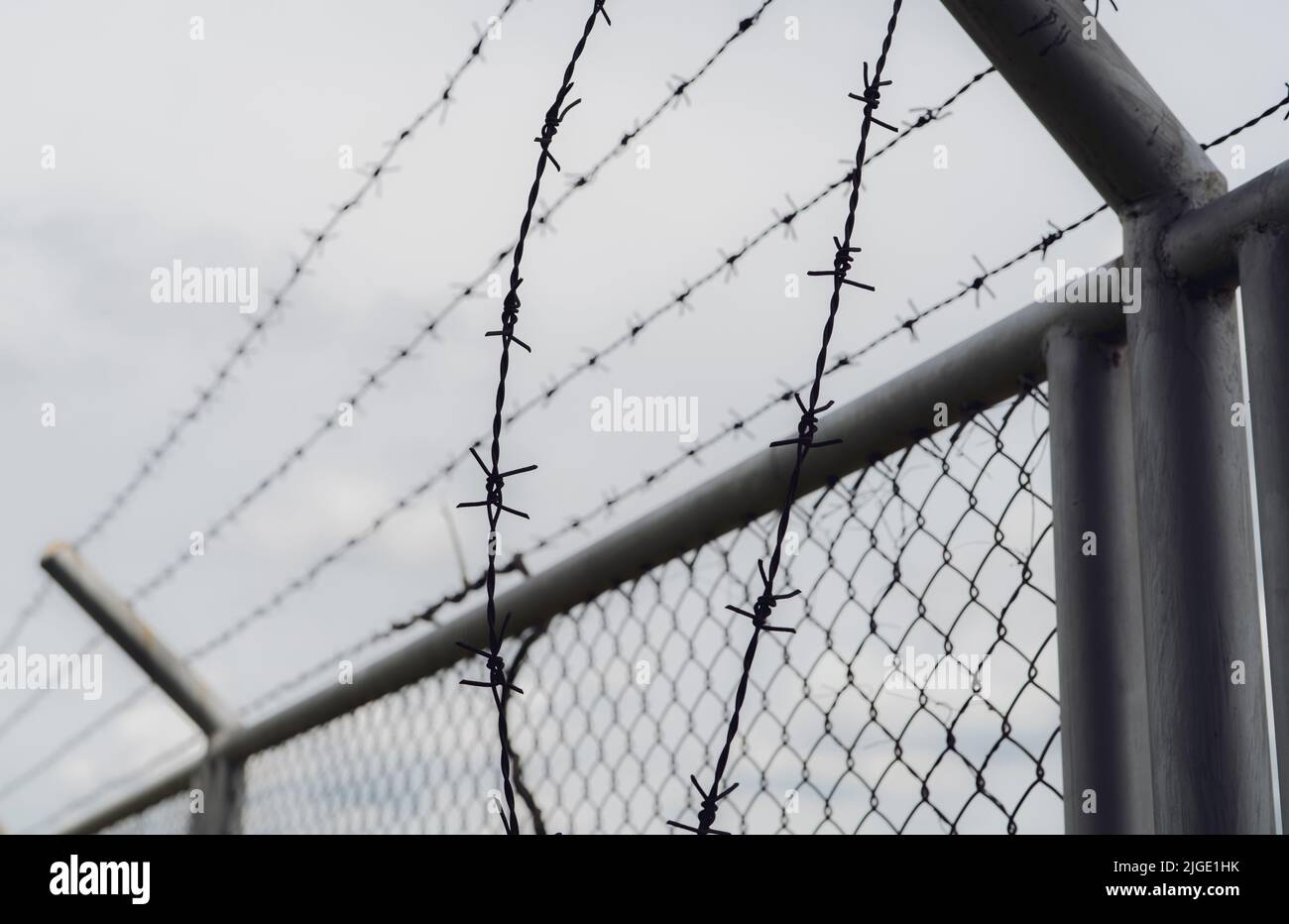 Prison security fence. Border fence. Barbed wire security fence. Razor ...