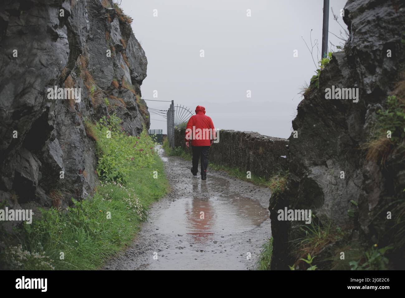 Back view of a man in wet red jacket who walks in the rain o the trail ...