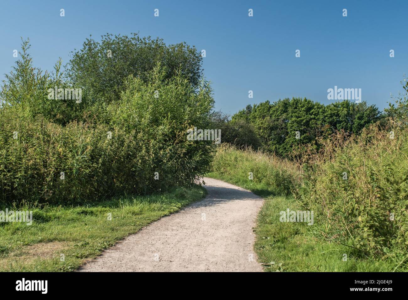 Nantwich Riverside Loop walkway sunny day landscape, Cheshire Stock ...