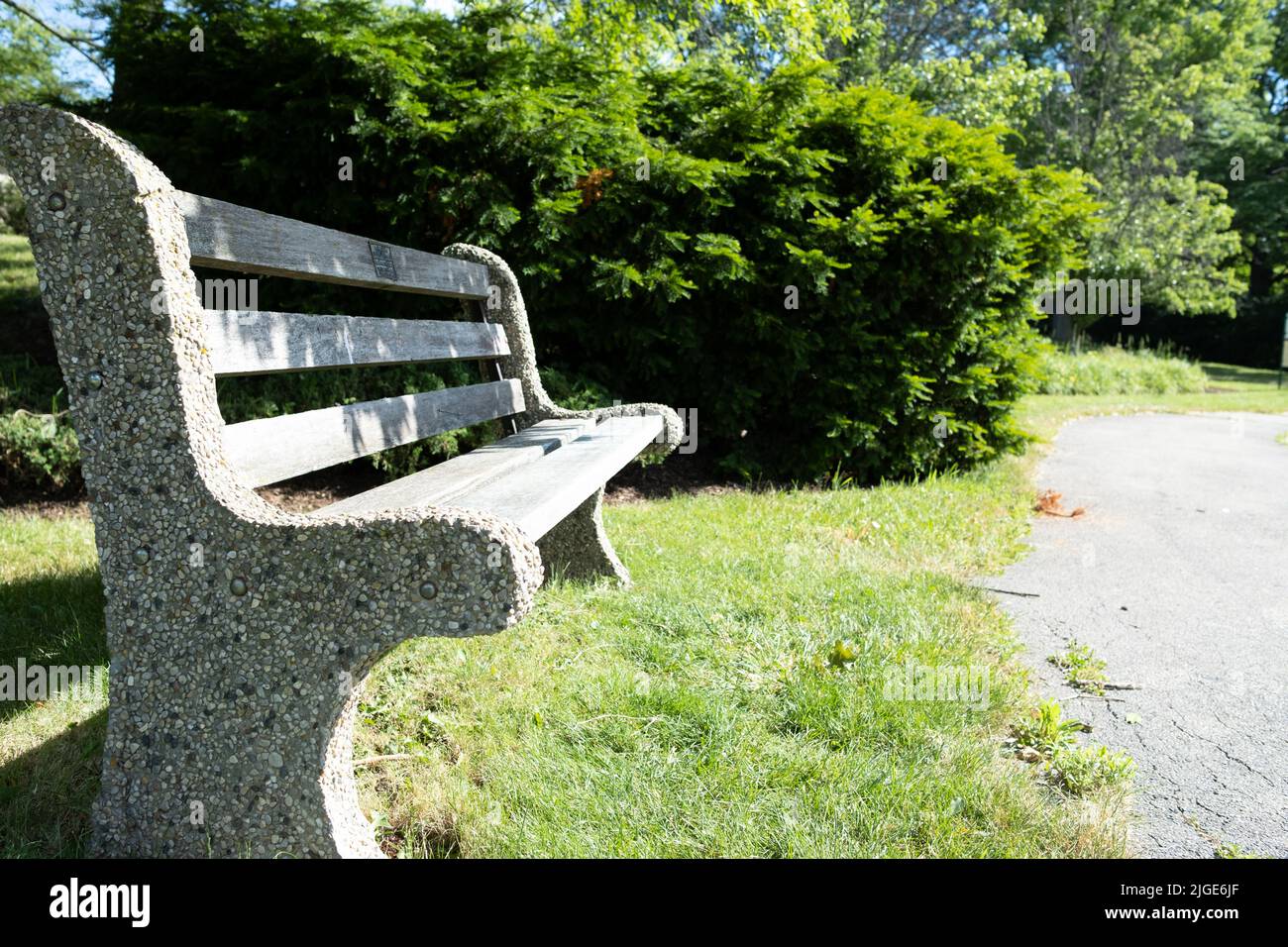 A selective of a bench in a green park on a sunny morning Stock Photo ...