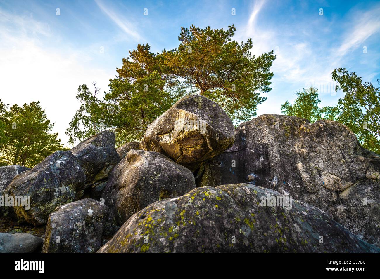 Dry sandy forest with big boulders in Fontainbleau Stock Photo - Alamy