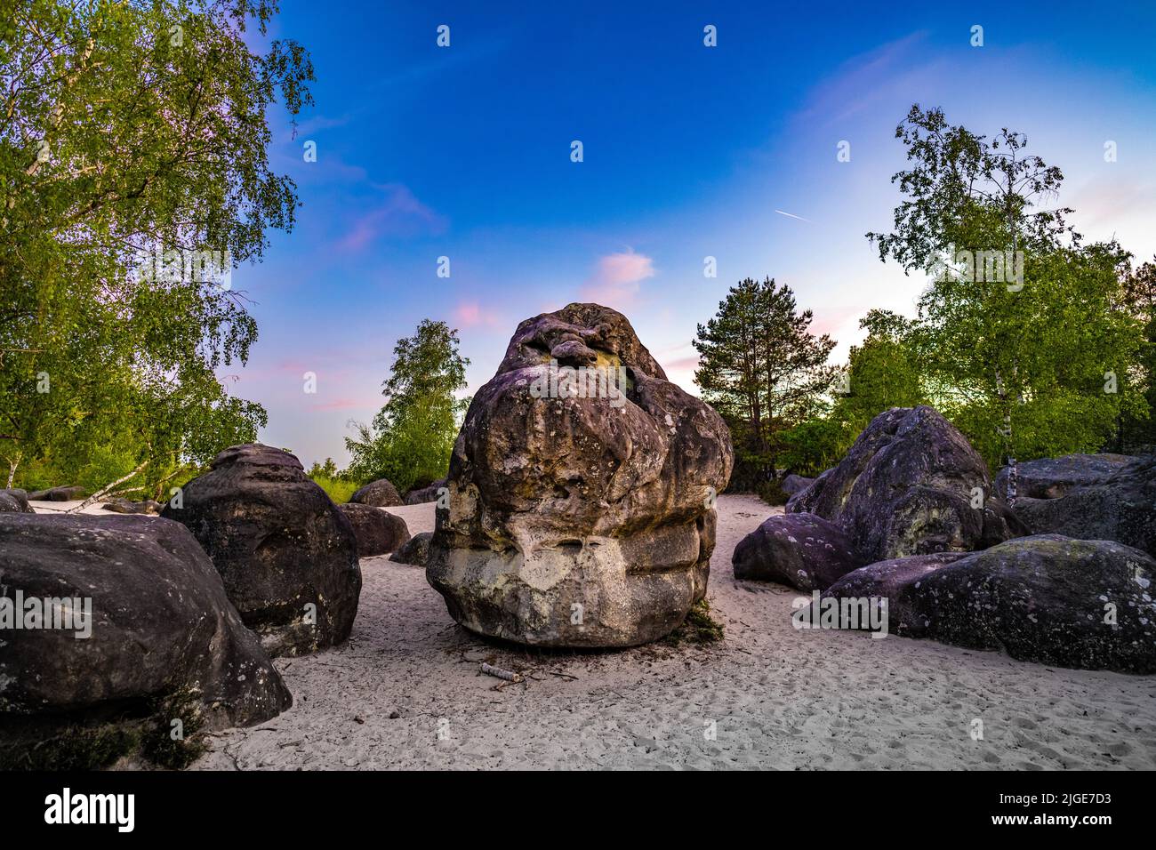 Dry sandy forest with big boulders in Fontainbleau Stock Photo - Alamy
