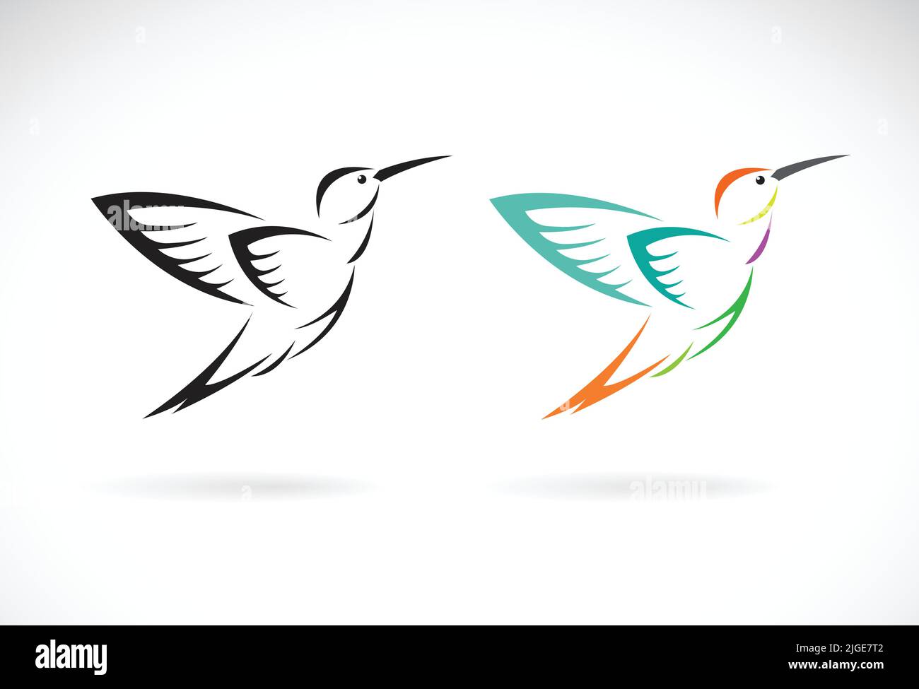 Hummingbirds Design
