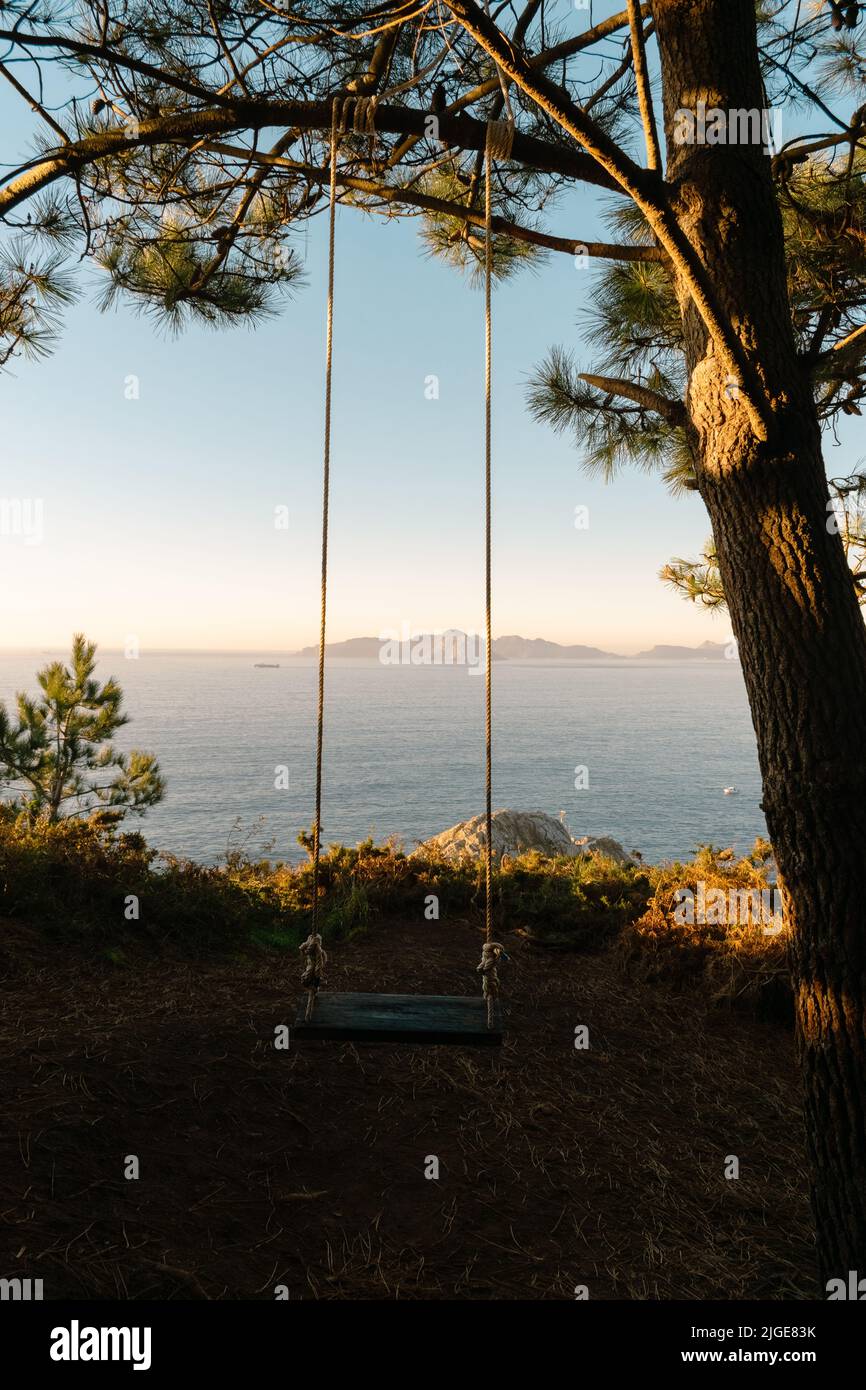 Sunset view from Monteferro with a rope swing hanging from a tree and ...