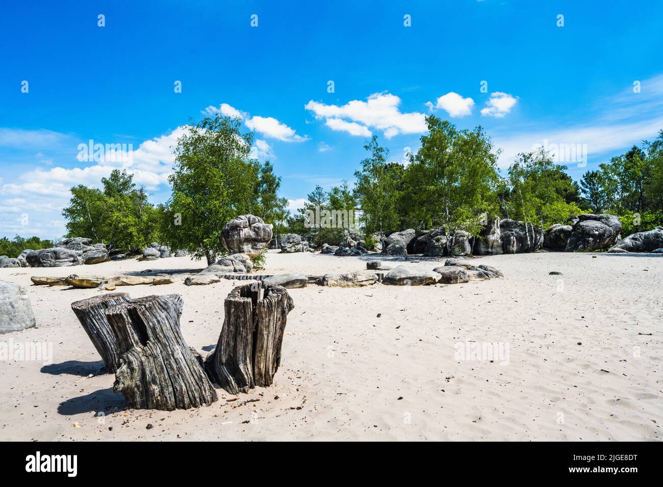 Dry sandy forest with big boulders in Fontainbleau Stock Photo - Alamy