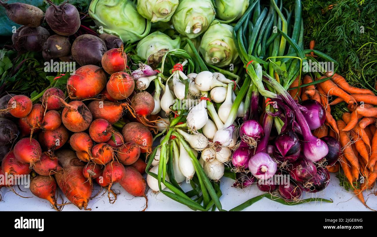 Root vegetables carrot radish hi-res stock photography and images - Alamy
