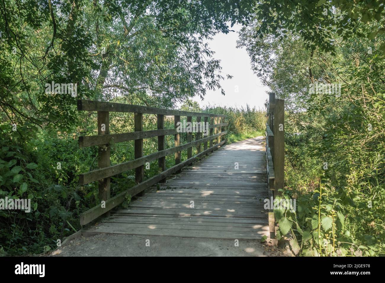 Nantwich Lakeside Loop woodland bridge sunny day landscape, Cheshire ...
