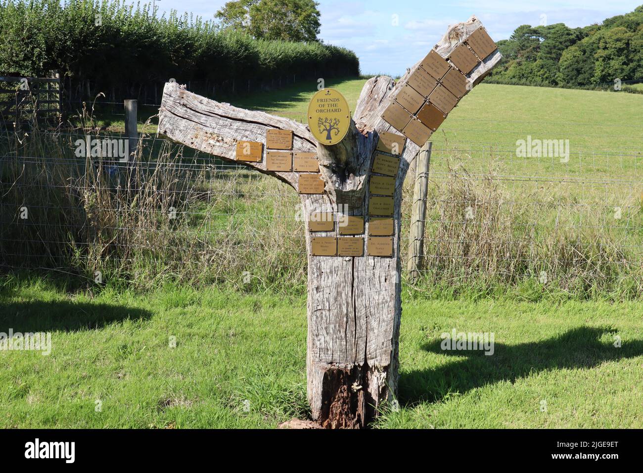 DUNSTER, SOMERSET,ENGLAND - AUGUST 30th 2020: The "Friends of the ...