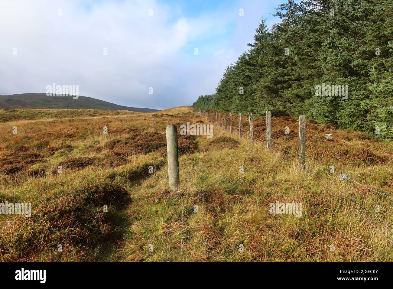 The Kintyre Way. Kintyre peninsula. Argyll and Bute. Scotland. UK Stock Photo - Alamy
