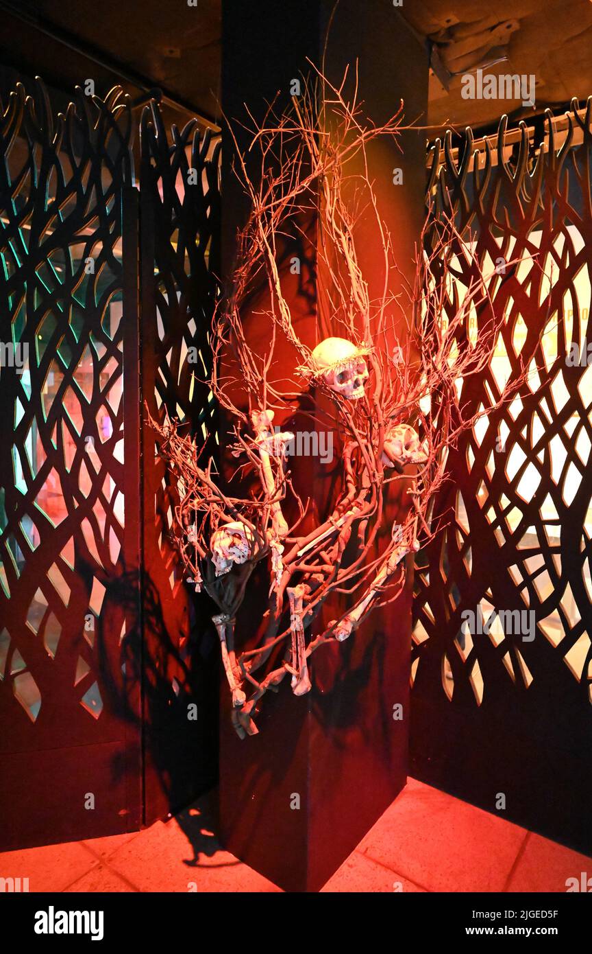 Sci-fi props at the Museum of Pop Culture in Seattle Stock Photo - Alamy