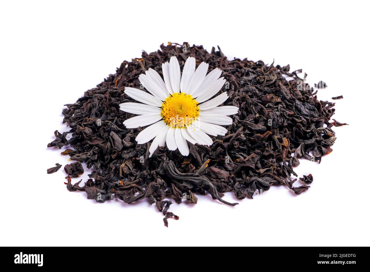 Traditional flower of assam Cut Out Stock Images & Pictures - Alamy