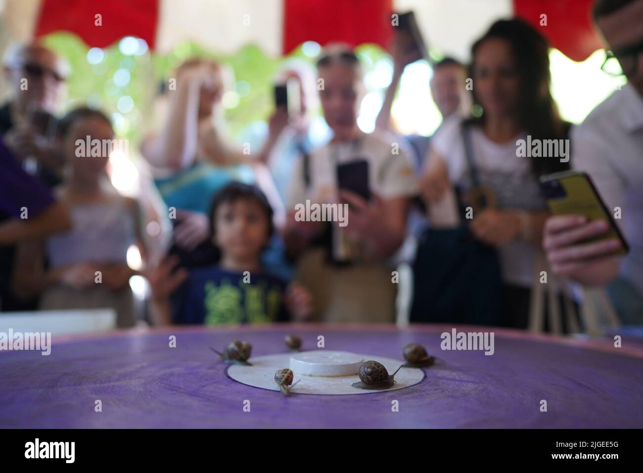 People watch snail racing at the Soho Village Fete, Wardour Street ...